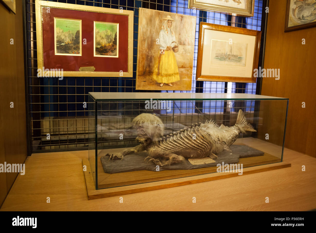 Monaco, monstrosity fish with human head and arms scary creature in ...