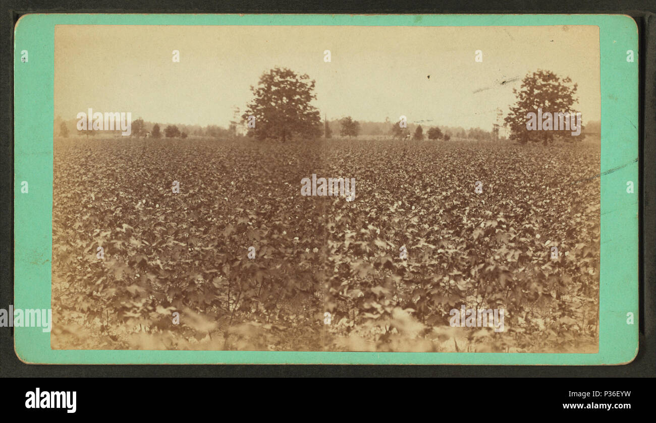 J field hi-res stock photography and images - Alamy