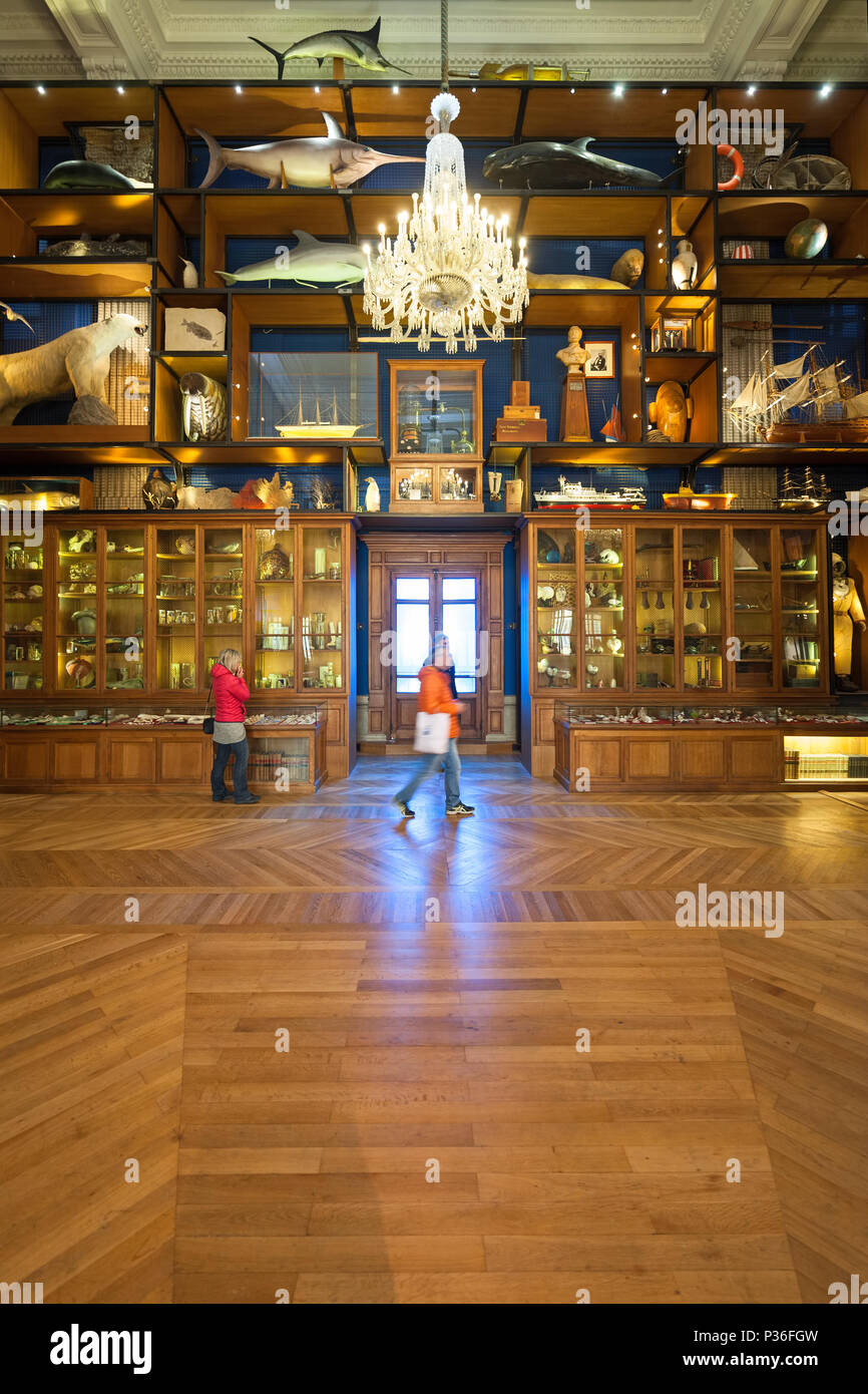 Cabinet of curiosities museum hi-res stock photography and images - Alamy