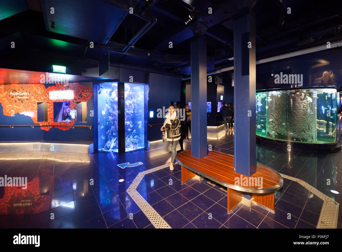 Museum fish aquarium hi-res stock photography and images - Alamy