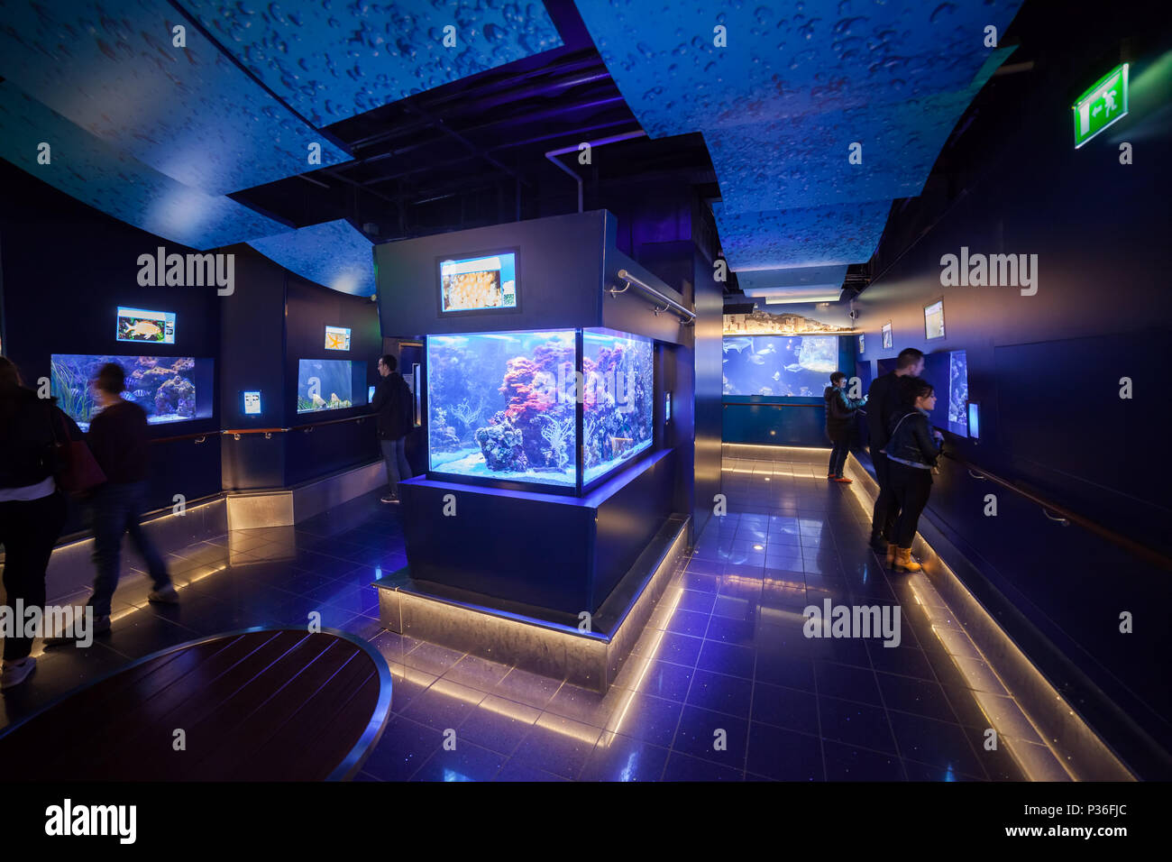 Monaco, Aquarium in Oceanographic Museum (Musee oceanographique Stock ...
