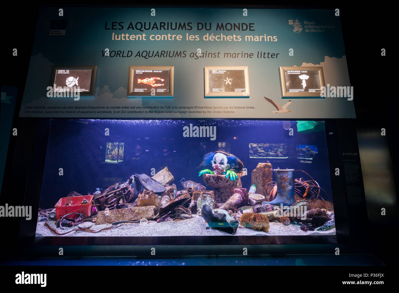 Oceanographic museum and aquarium hi-res stock photography and images ...