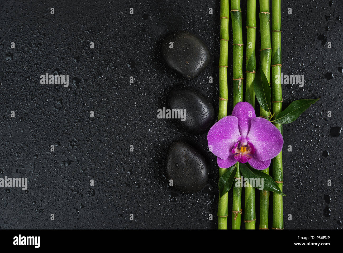 Spa concept with black basalt massage stones, pink orchid flower and a ...