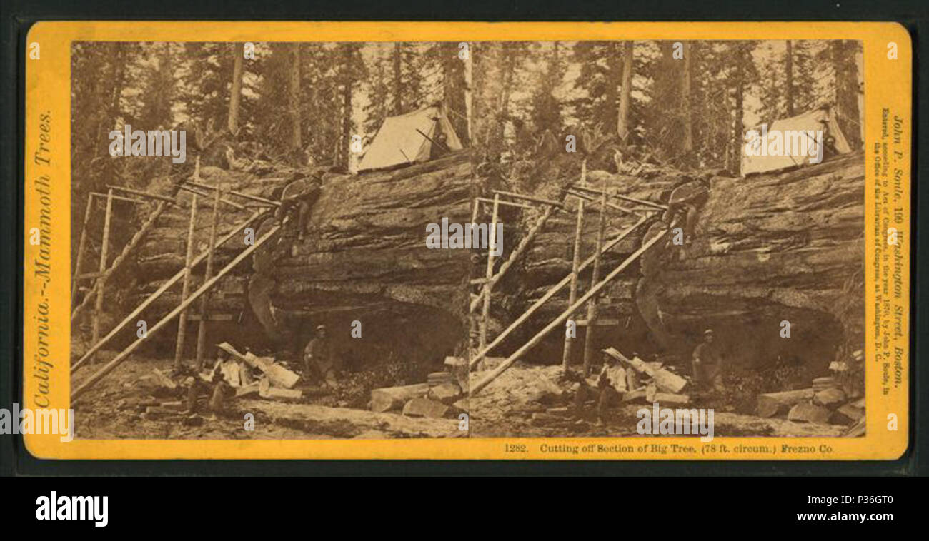 Loggers 1870 hi-res stock photography and images - Alamy