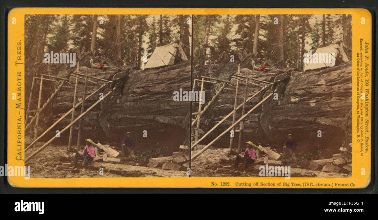 Sequoia section hi-res stock photography and images - Alamy