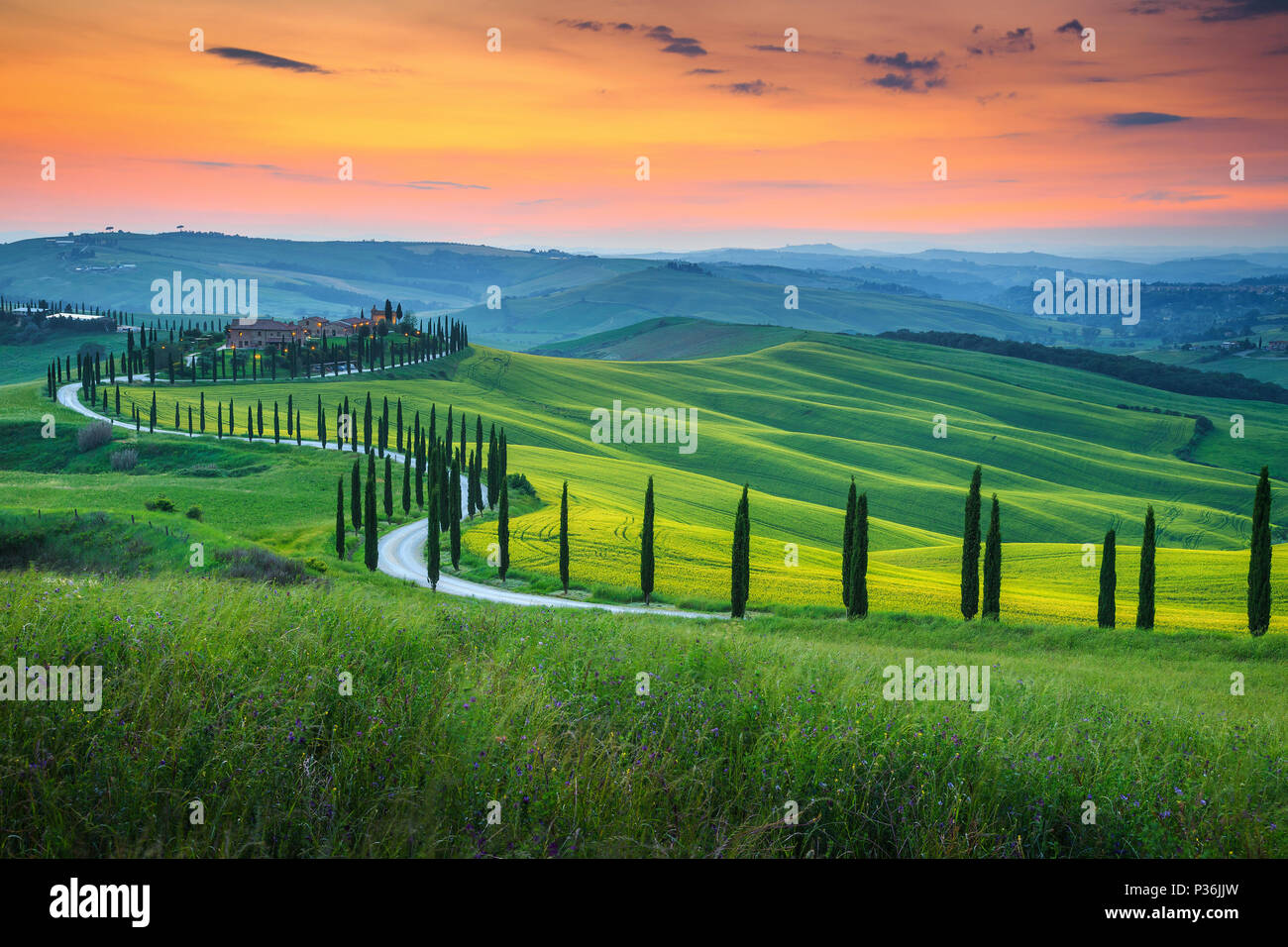 Tuscany Rural Sunset Landscape Magic Tuscany Tour In Florence