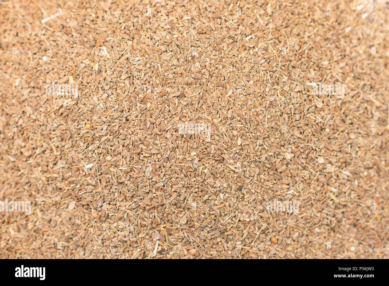 Organic Dried coriander seeds (Coriandrum sativum) closeup background texture Stock Photo - Alamy