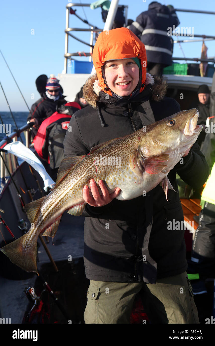 Wismar, Germany, boy proudly showing his freshly caught cod Stock Photo ...