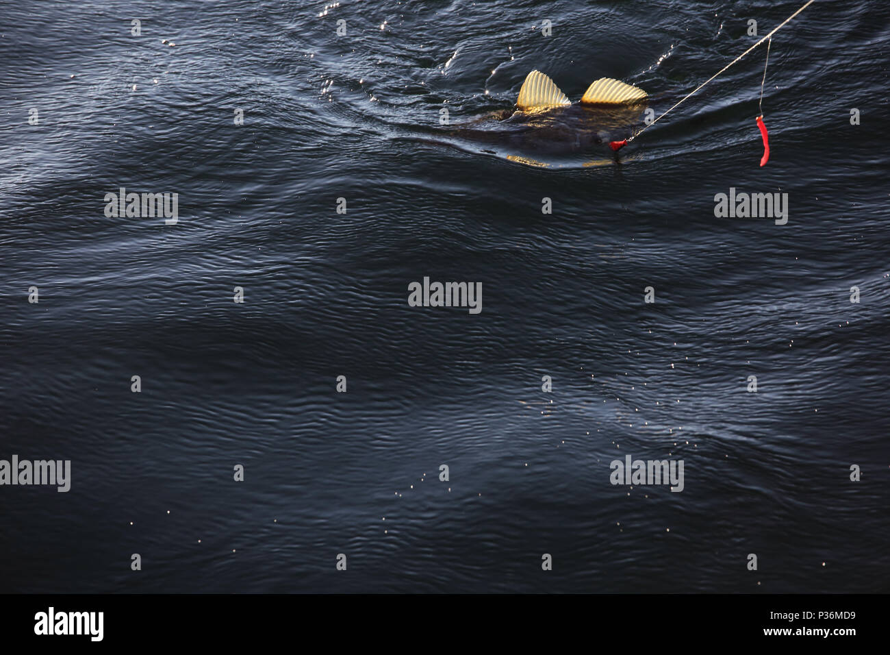 Deep sea fishing hi-res stock photography and images - Alamy