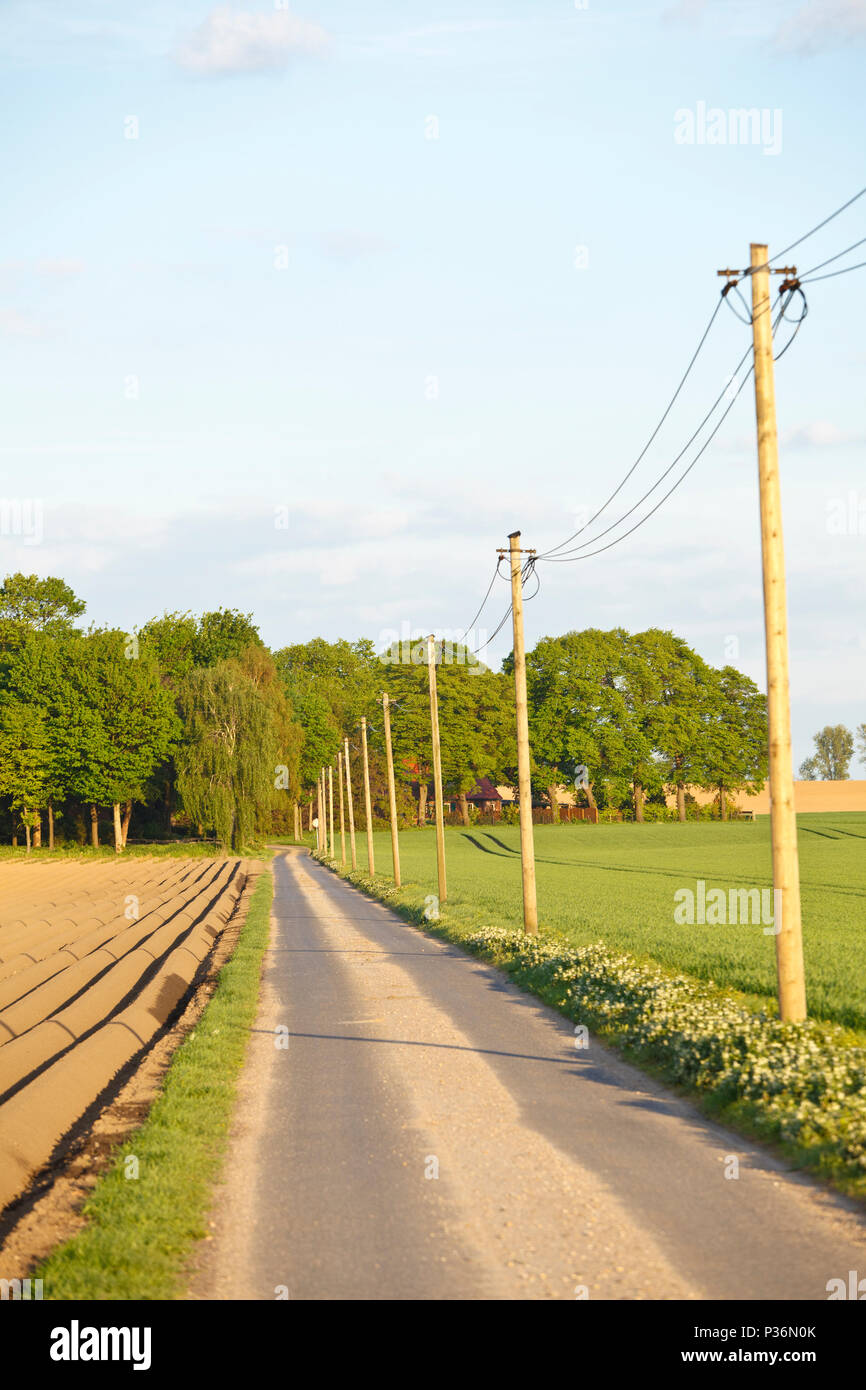 Green flat farm landscape in Germany Stock Photo - Alamy