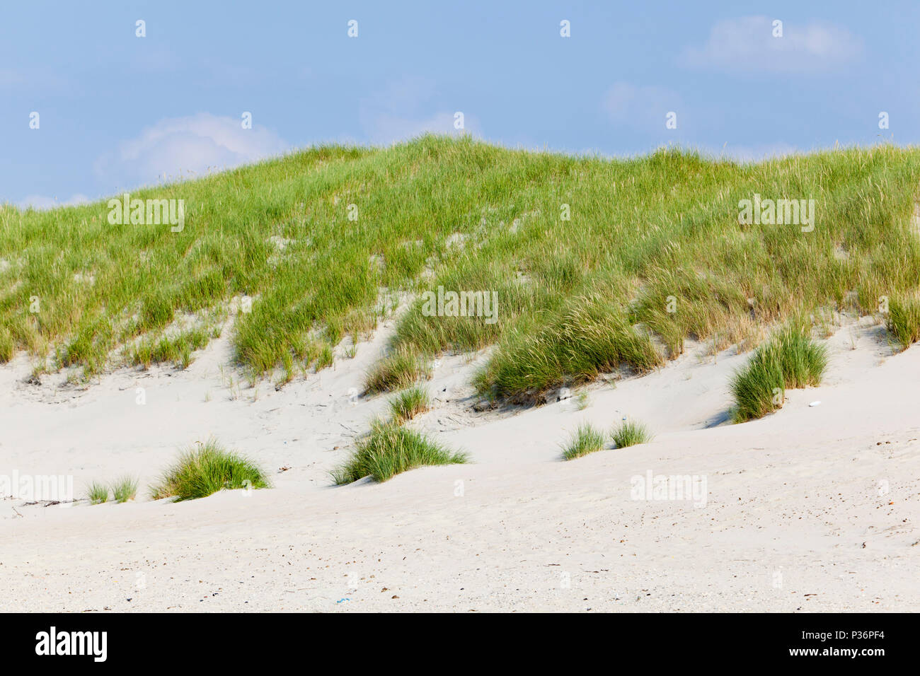 White dune norderney hi-res stock photography and images - Alamy
