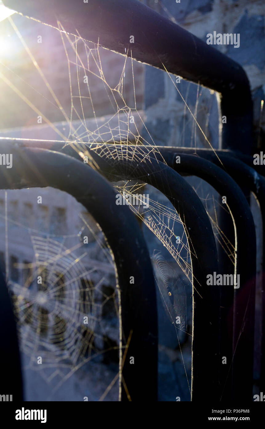 Spider web gate hi-res stock photography and images - Alamy