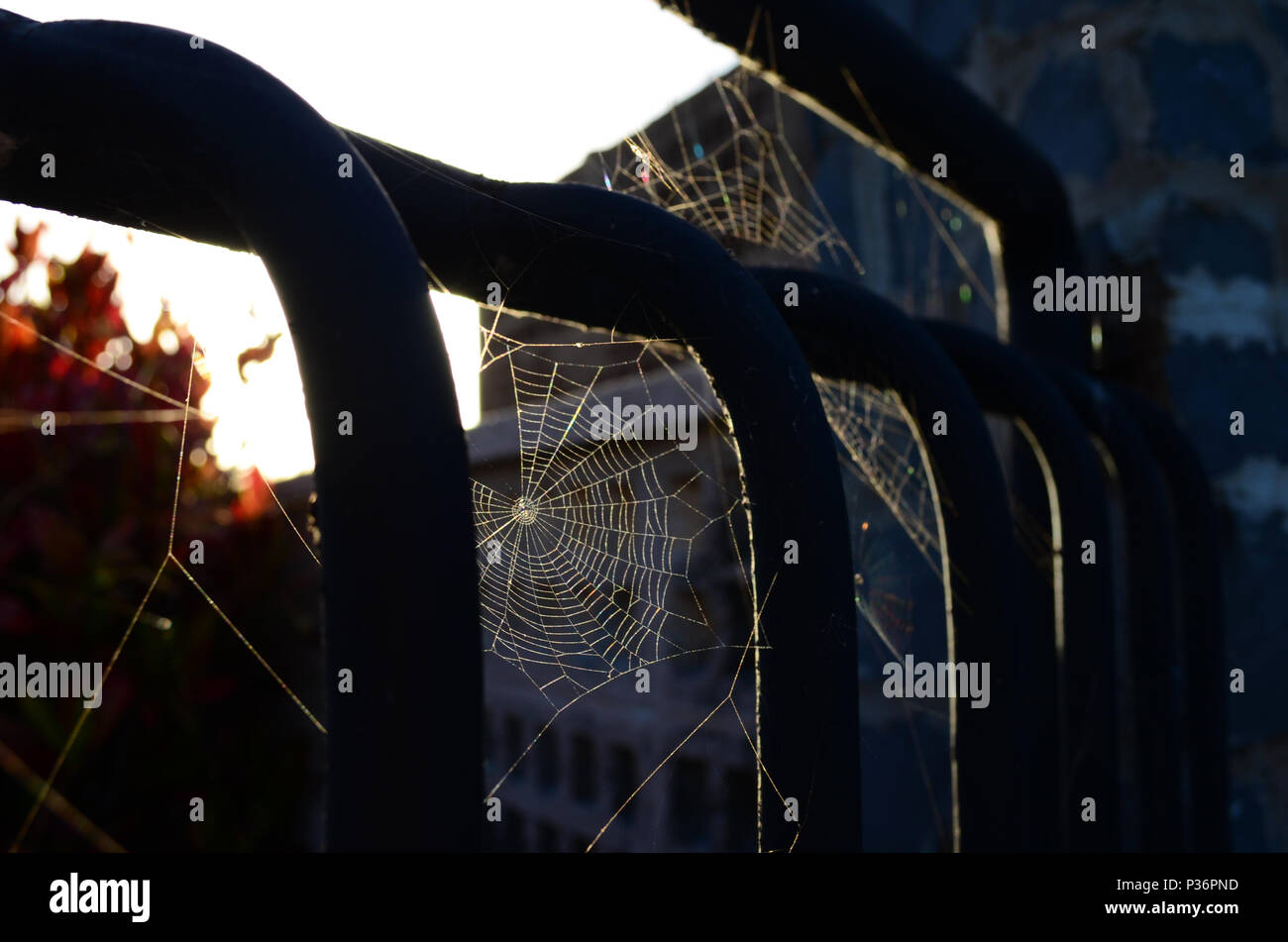 Spider web gate hi-res stock photography and images - Alamy
