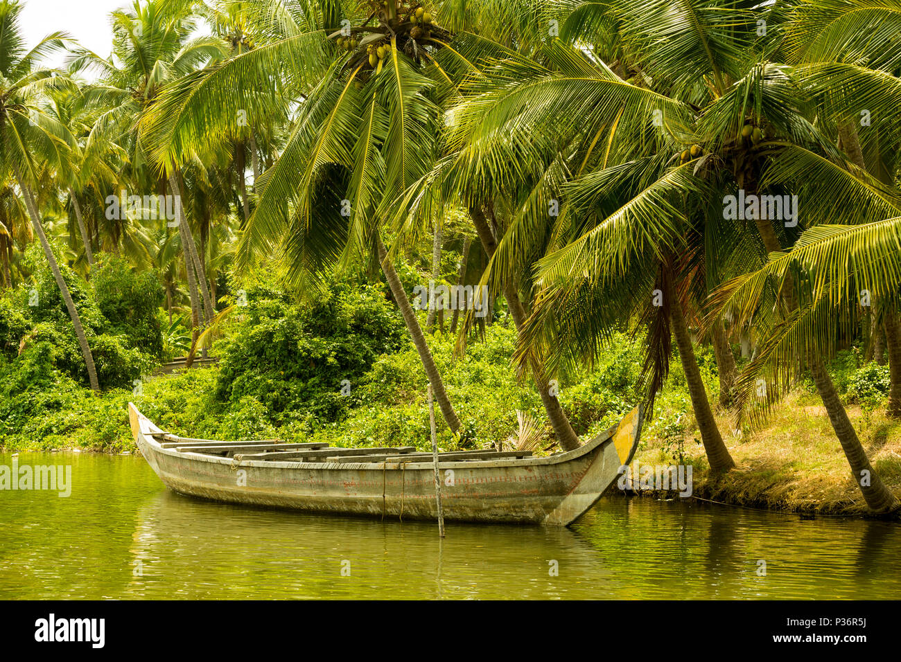 Traditional canoe floating on hi-res stock photography and images - Alamy