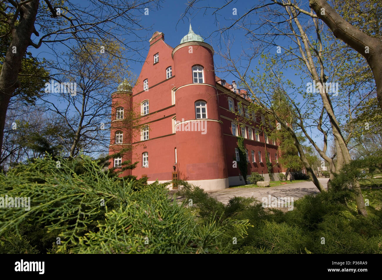 Spyker hi-res stock photography and images - Alamy
