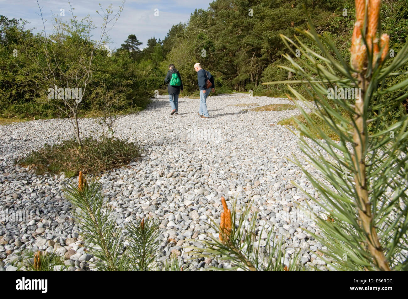 Mukran, Germany, visitors in the flint fields on the Schmale Heide ...