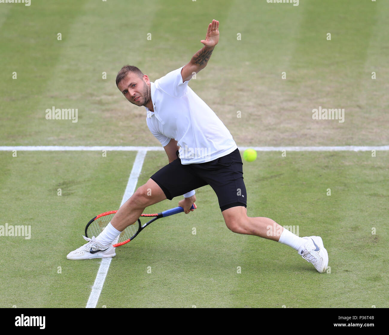 Dan Evans during his match with Alex de Minaur in the ATP Mens Final ...