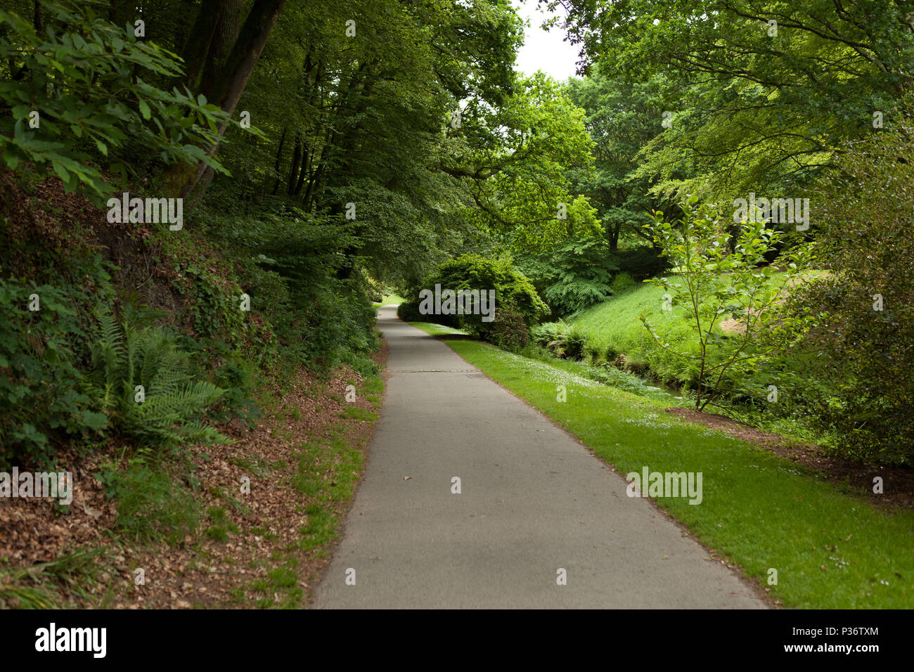 Beautiful Alley In Park. Garden Landscaping Design Concept Stock Photo ...