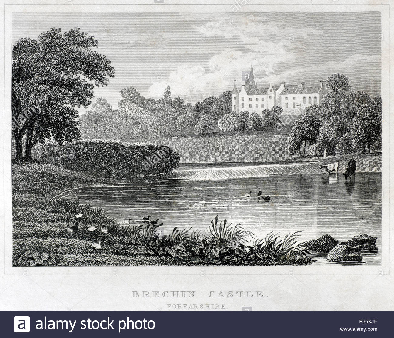 Brechin castle scotland hi-res stock photography and images - Alamy