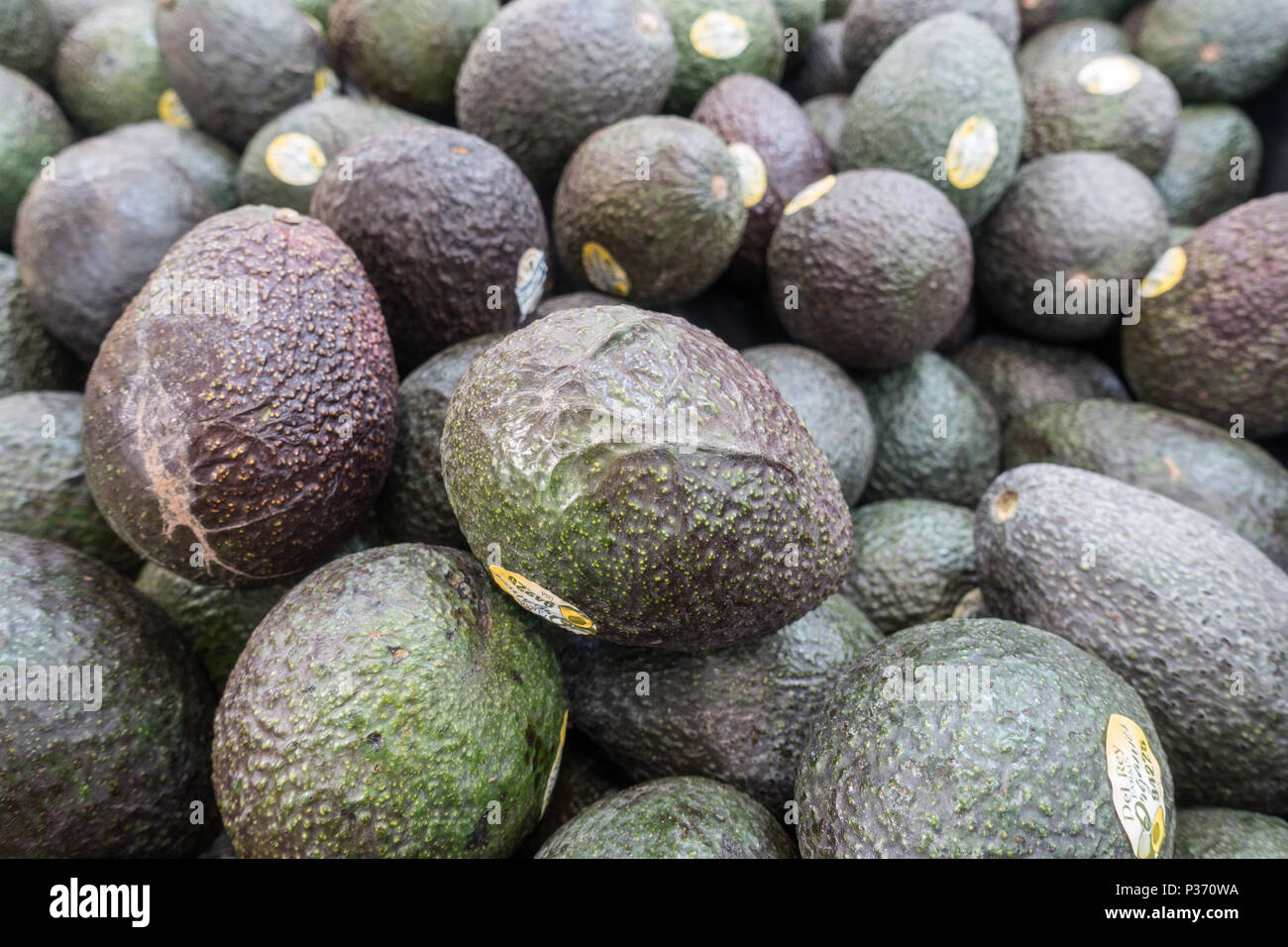 Ripe and ready avocados in an American supermarket Stock Photo - Alamy