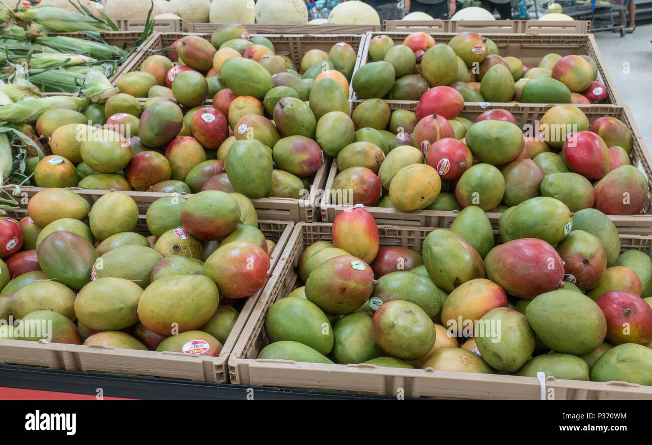 Fresh juicy mangoes on supermarket shelf Stock Photo - Alamy