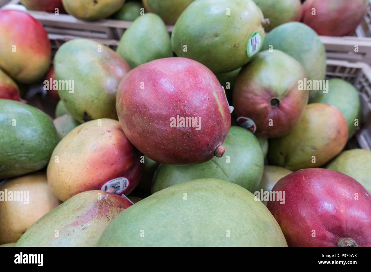 Eat Fresh Mangoes High Resolution Stock Photography and Images - Alamy