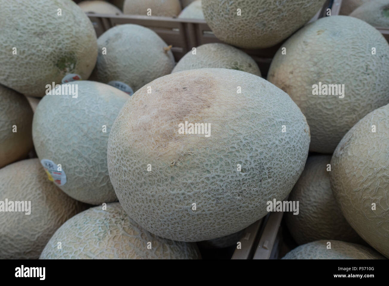 Supermarket melons hi-res stock photography and images - Alamy