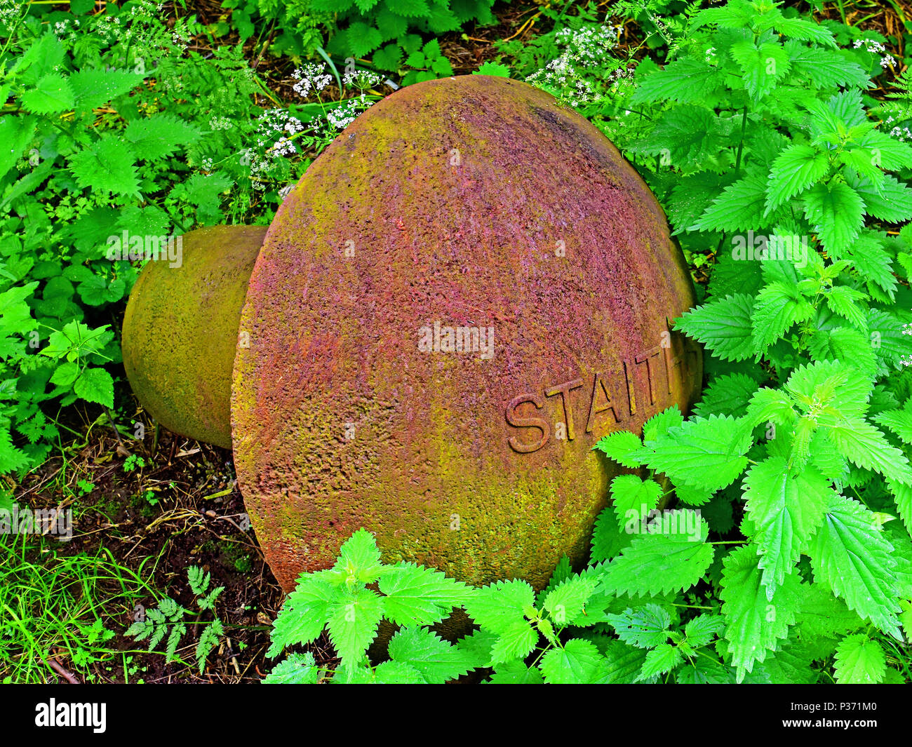 Gateshead works of art by the banks of the river Tyne giant rivets by ...