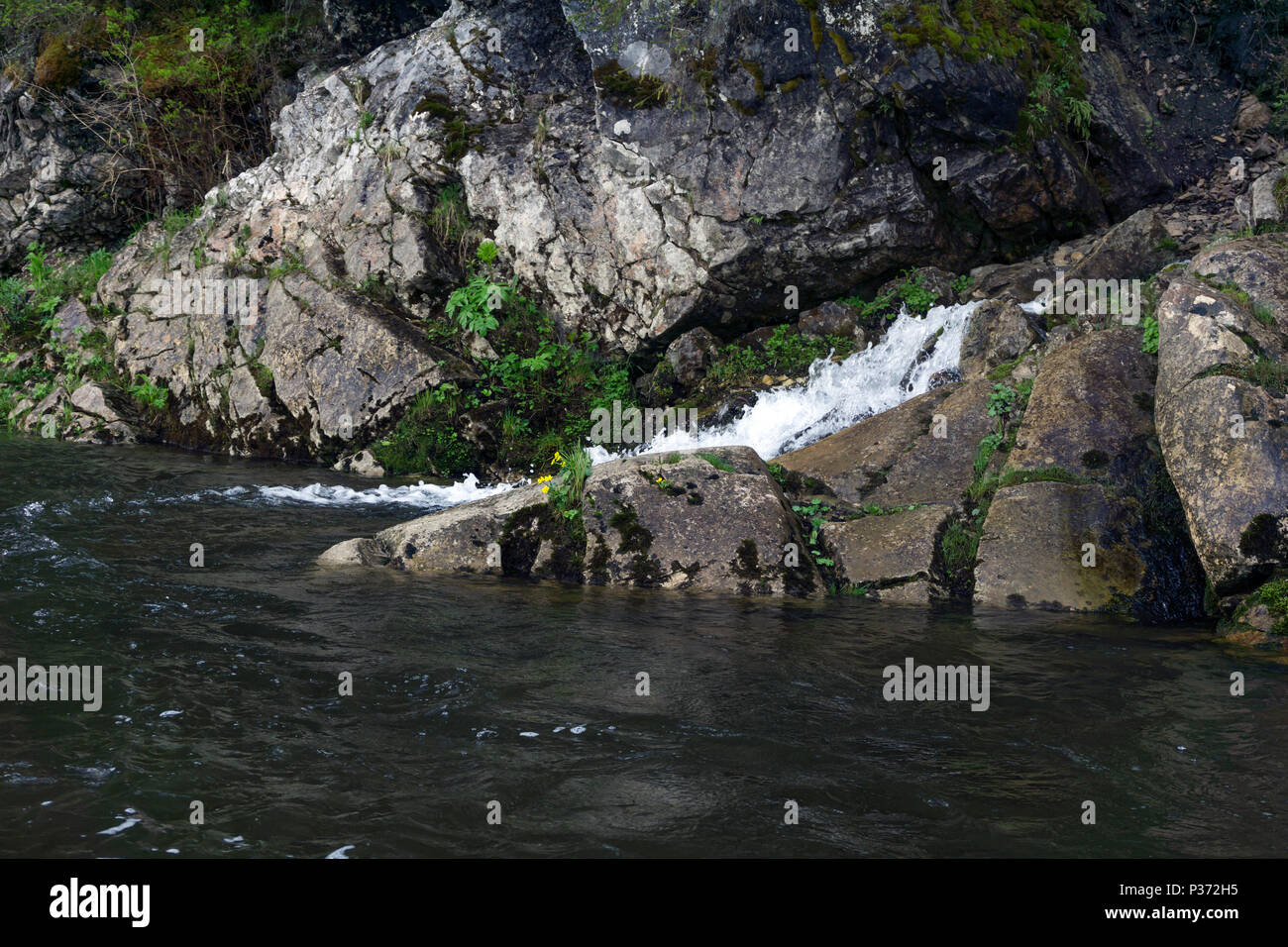 The spring follows a waterfall from the rock and flows into the river ...