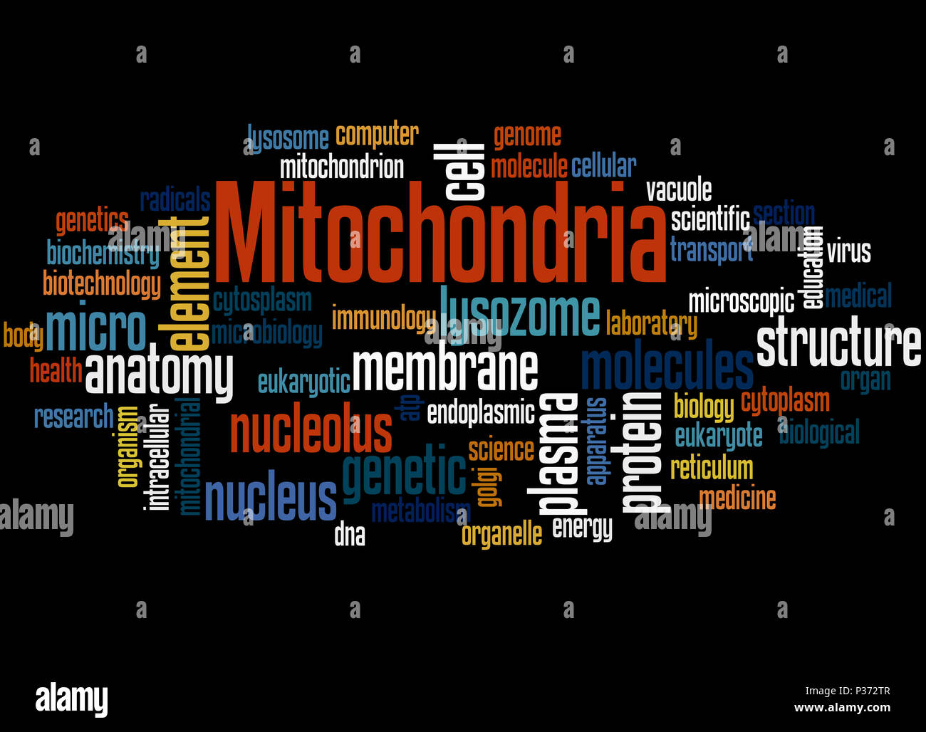 Mitochondria, word cloud concept on black background Stock Photo - Alamy