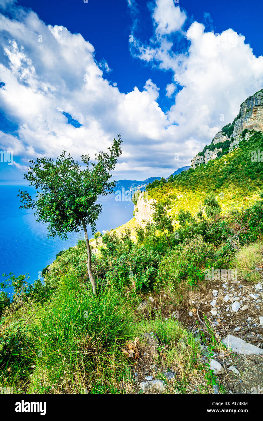 The Walk of the Gods is also known as the Path of the Gods and offers ...