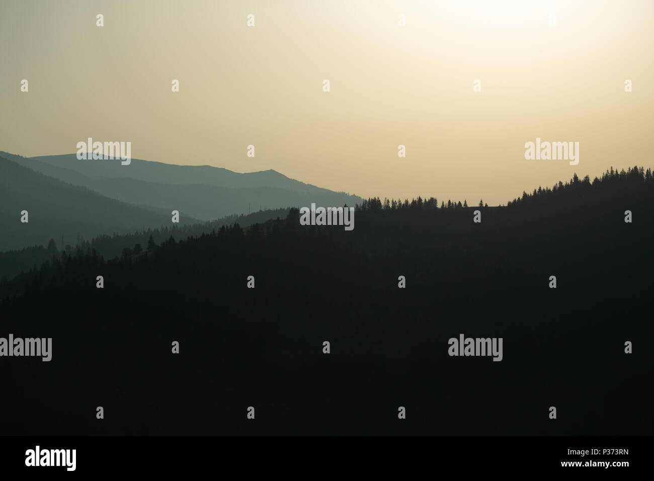 Panoramic view misty forest far hi-res stock photography and images - Alamy