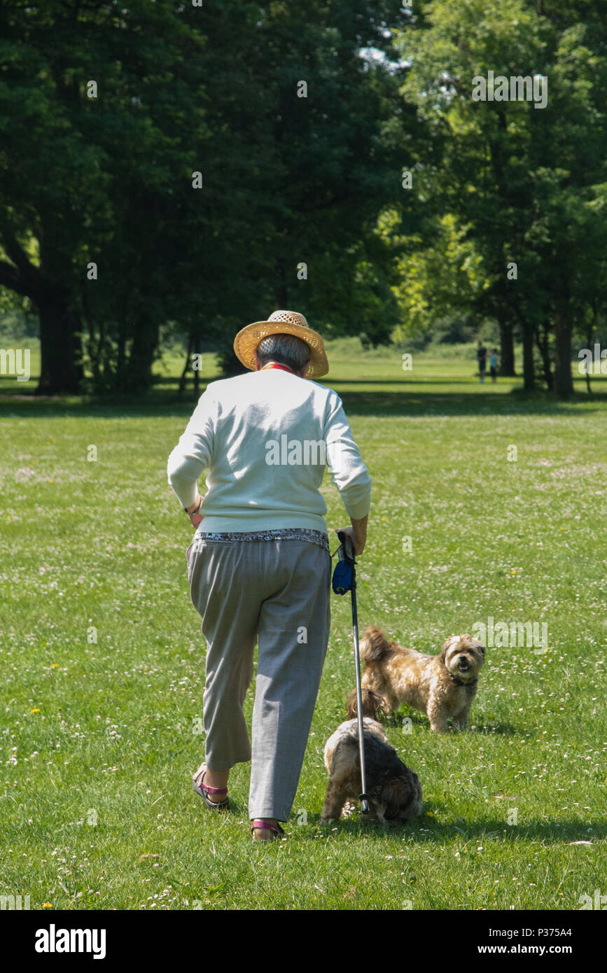 Old lady walking dog hi-res stock photography and images - Alamy