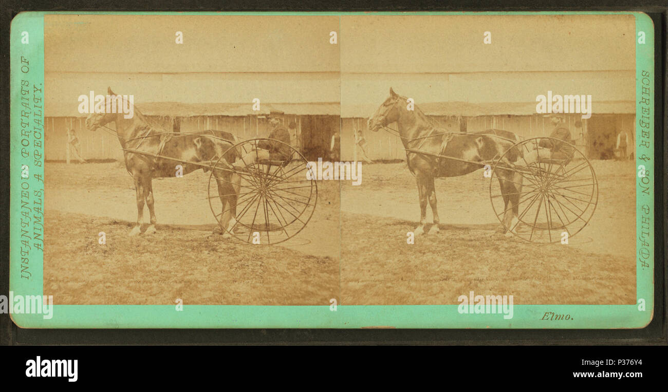 Schreiber color hi-res stock photography and images - Alamy