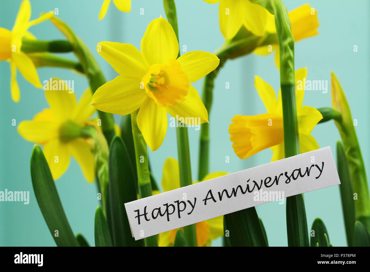 Happy anniversary card hi-res stock photography and images - Alamy