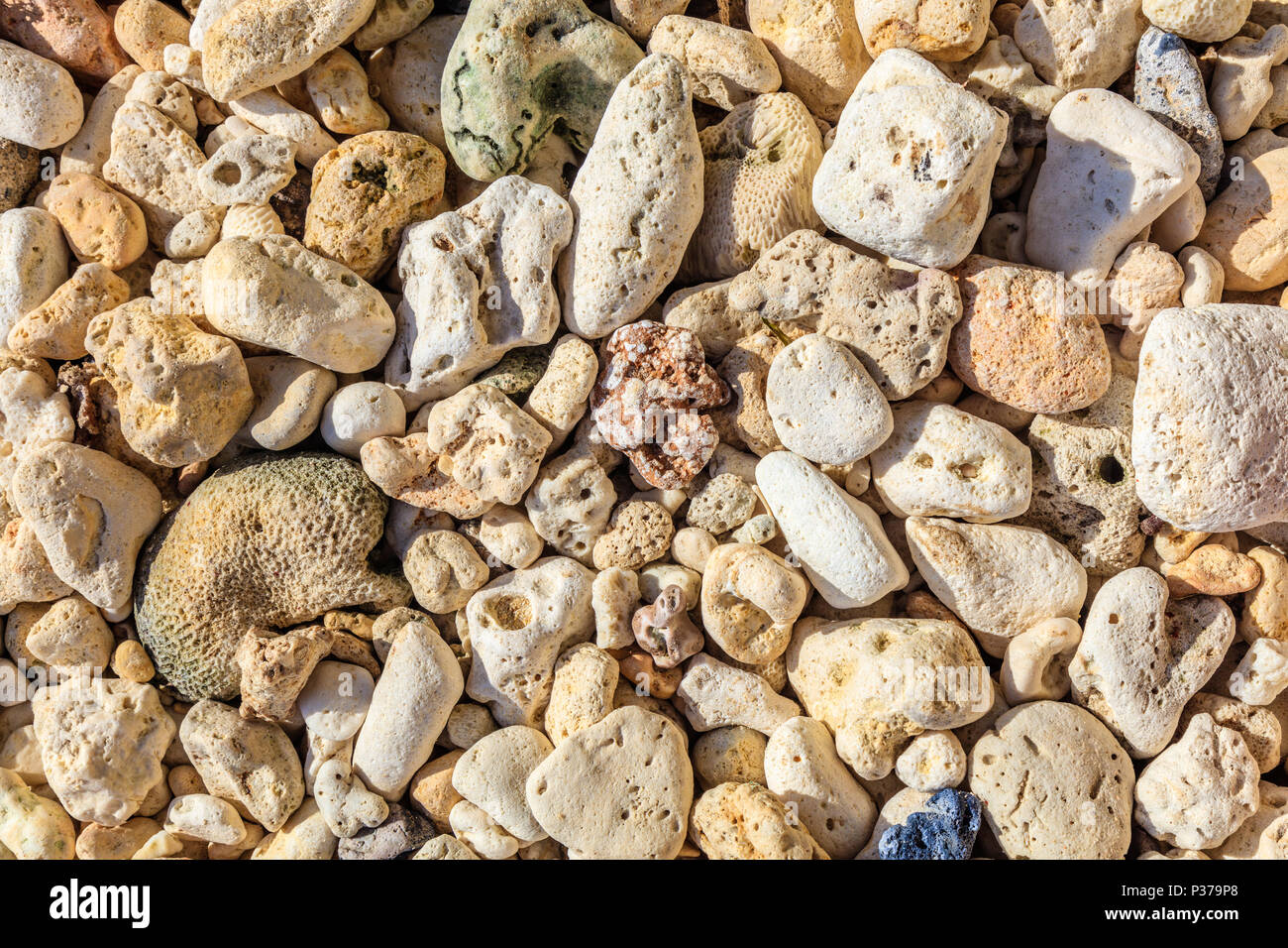 White sea washed corals and rocks on the beach, Boracay Island ...
