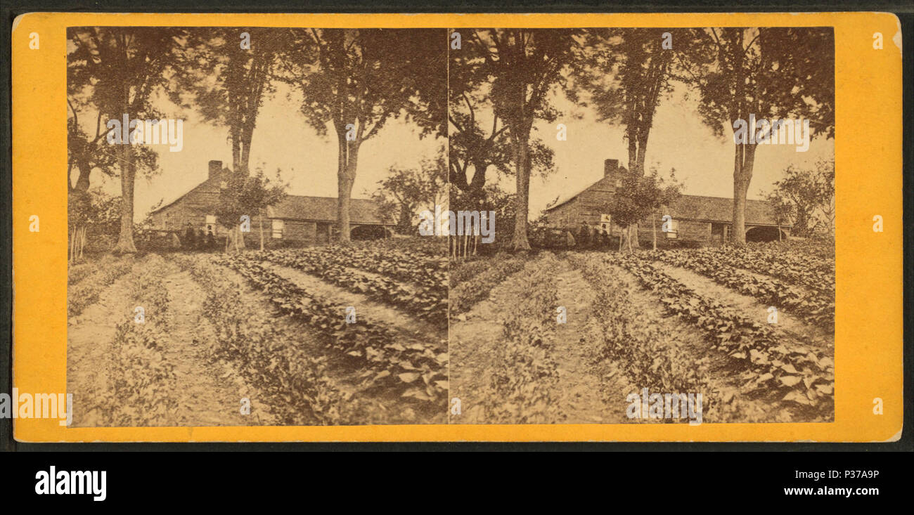 Country life farm 1900s hi-res stock photography and images - Alamy