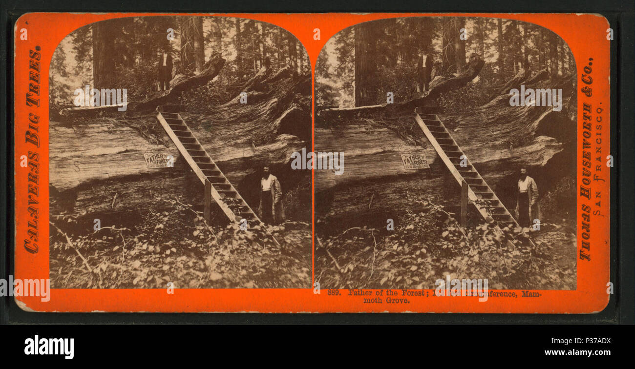 112 feet circumference hi-res stock photography and images - Alamy