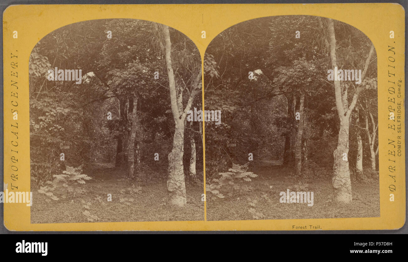 1870 timothy h osullivan 1840 1882 hi-res stock photography and images ...