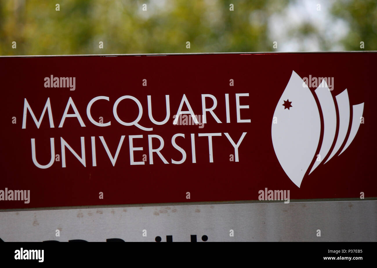 Macquarie University Logo