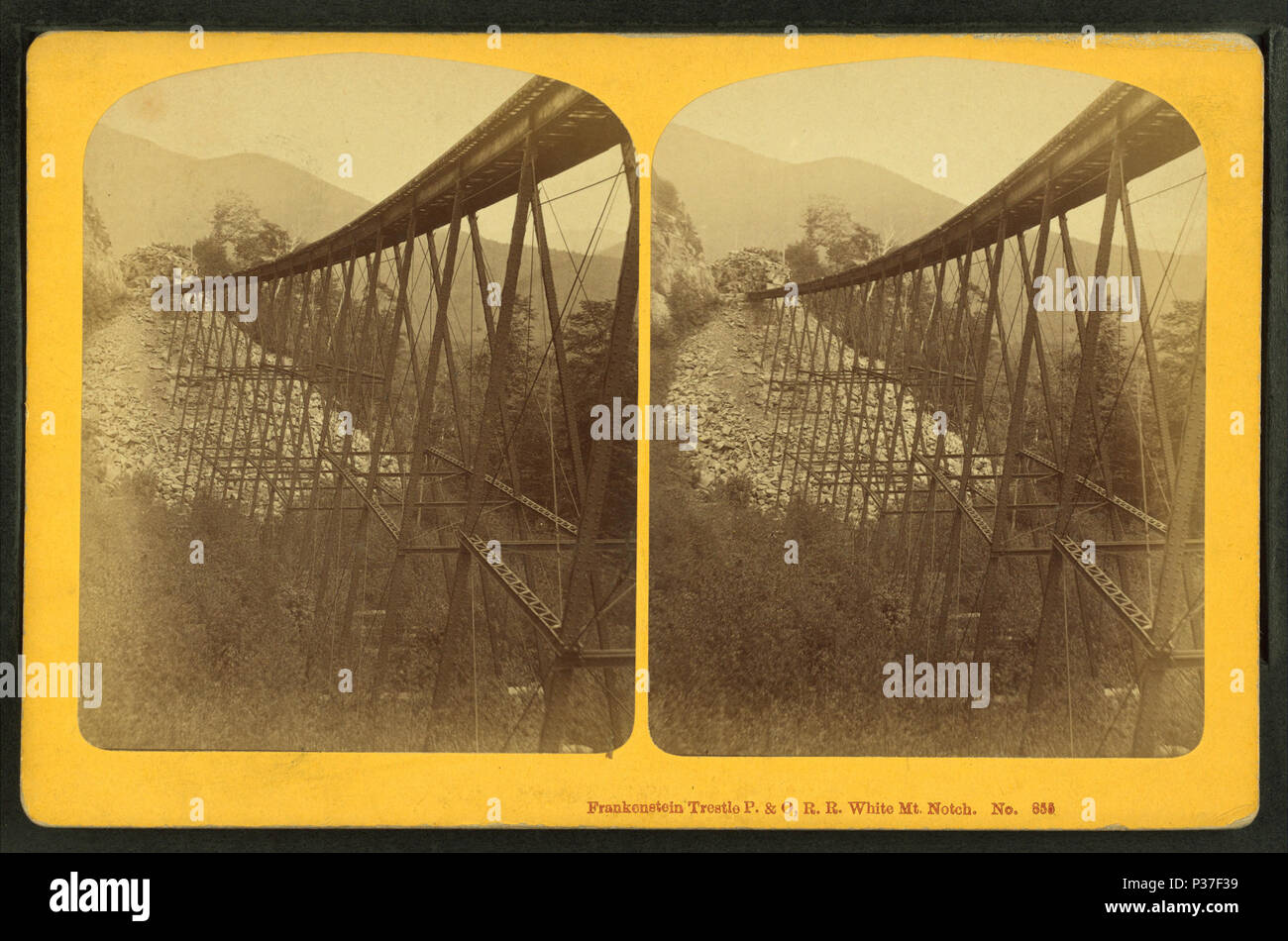 111 Frankenstein Trestle, P. & O.R.R., White Mts. Notch, from Robert N ...