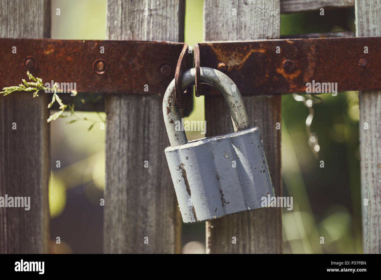 Old wooden gate closed to the castle. Abandoned place Stock Photo - Alamy