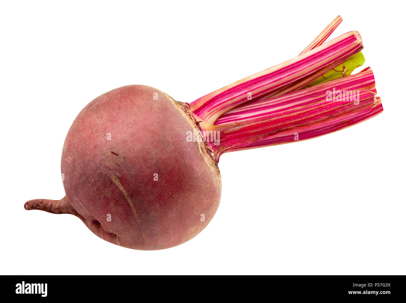 Beetroot hi-res stock photography and images - Alamy