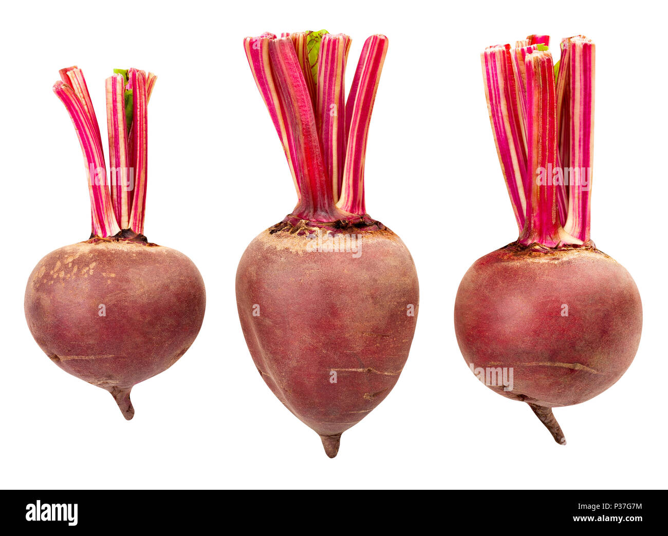 beetroot path isolated Stock Photo - Alamy