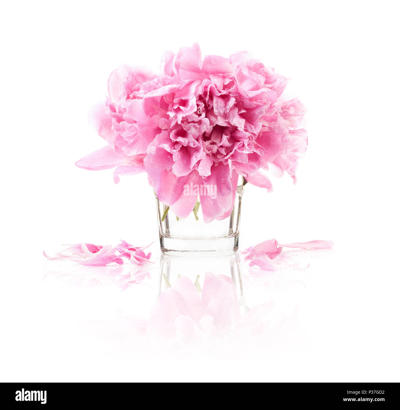 Bunch peony flowers on Cut Out Stock Images & Pictures - Alamy