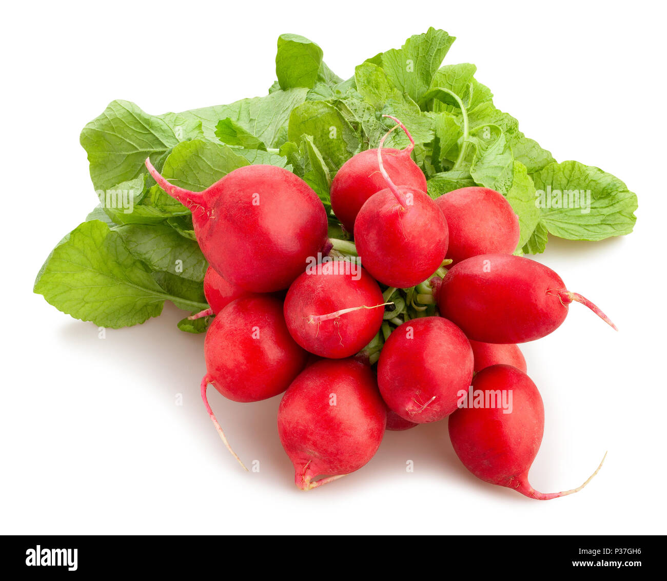 radish path isolated Stock Photo - Alamy