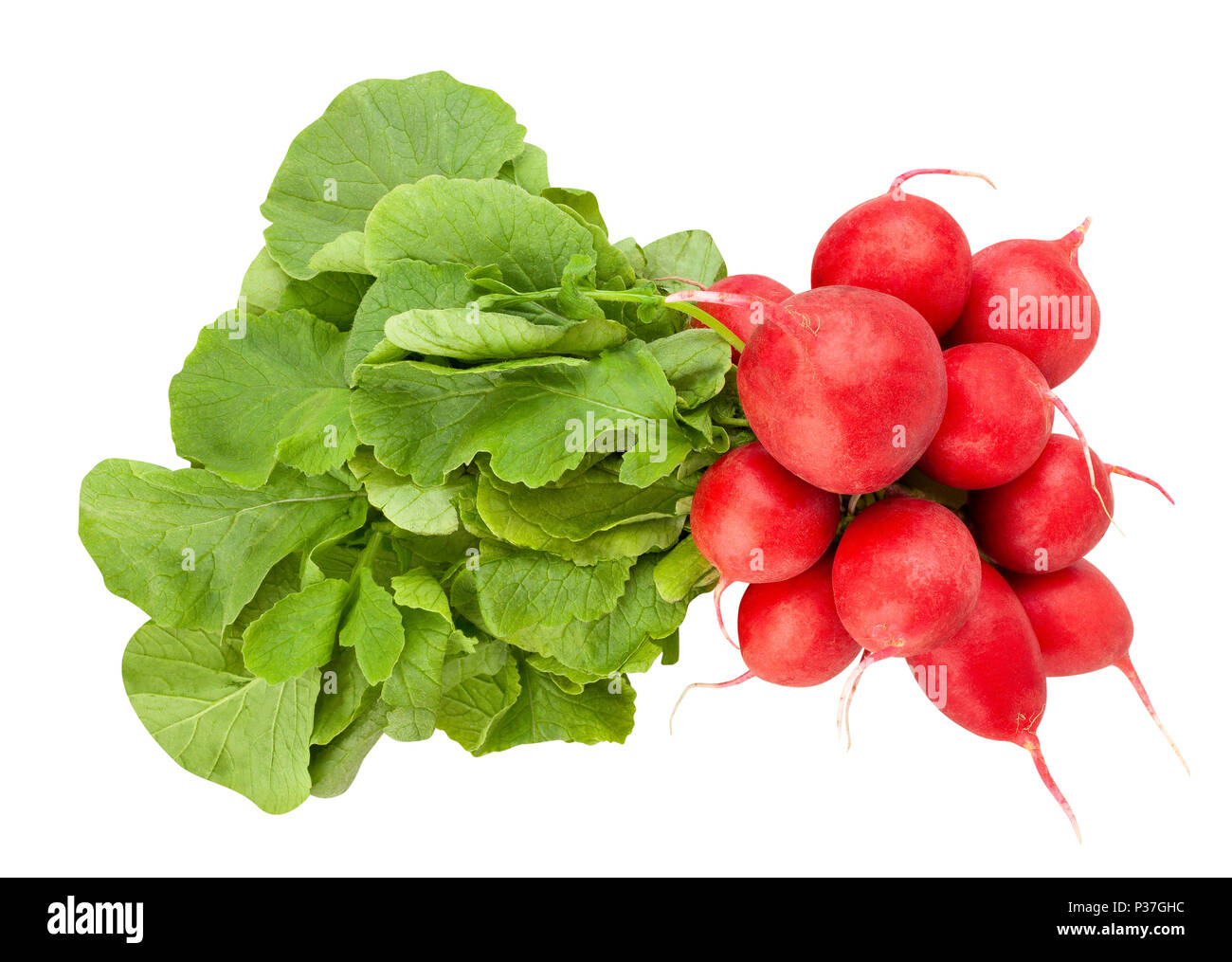 radish path isolated Stock Photo - Alamy