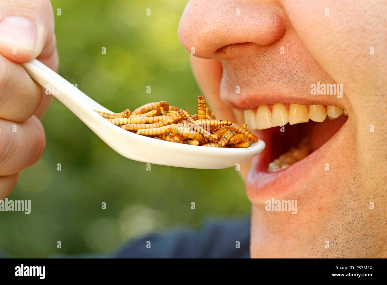 Person eating bug hi-res stock photography and images - Alamy