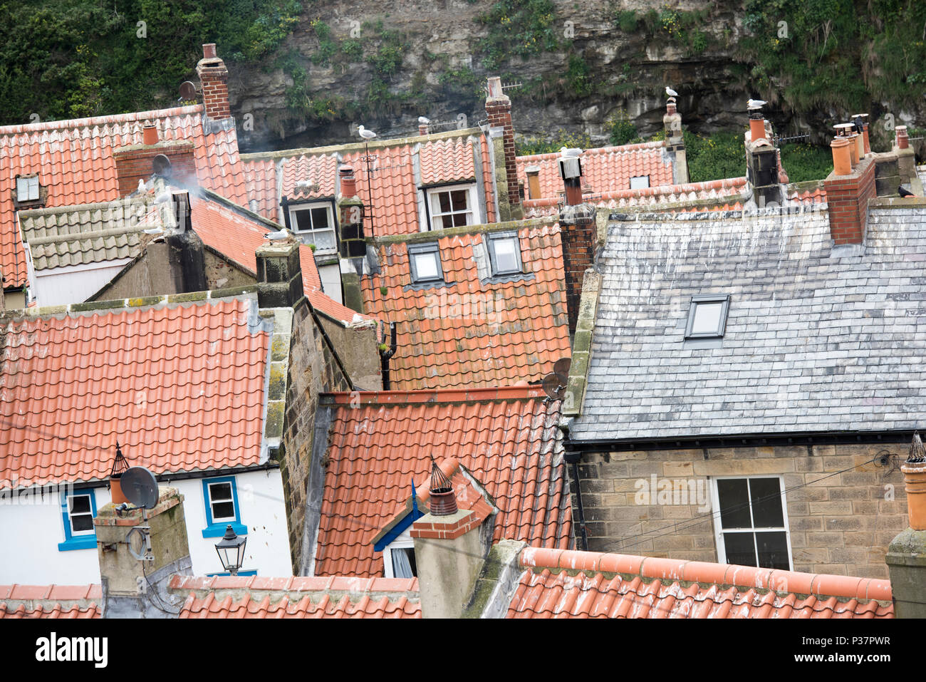 Eclectic Mix of rooftops in the village of Staithes, North Yorkshire ...
