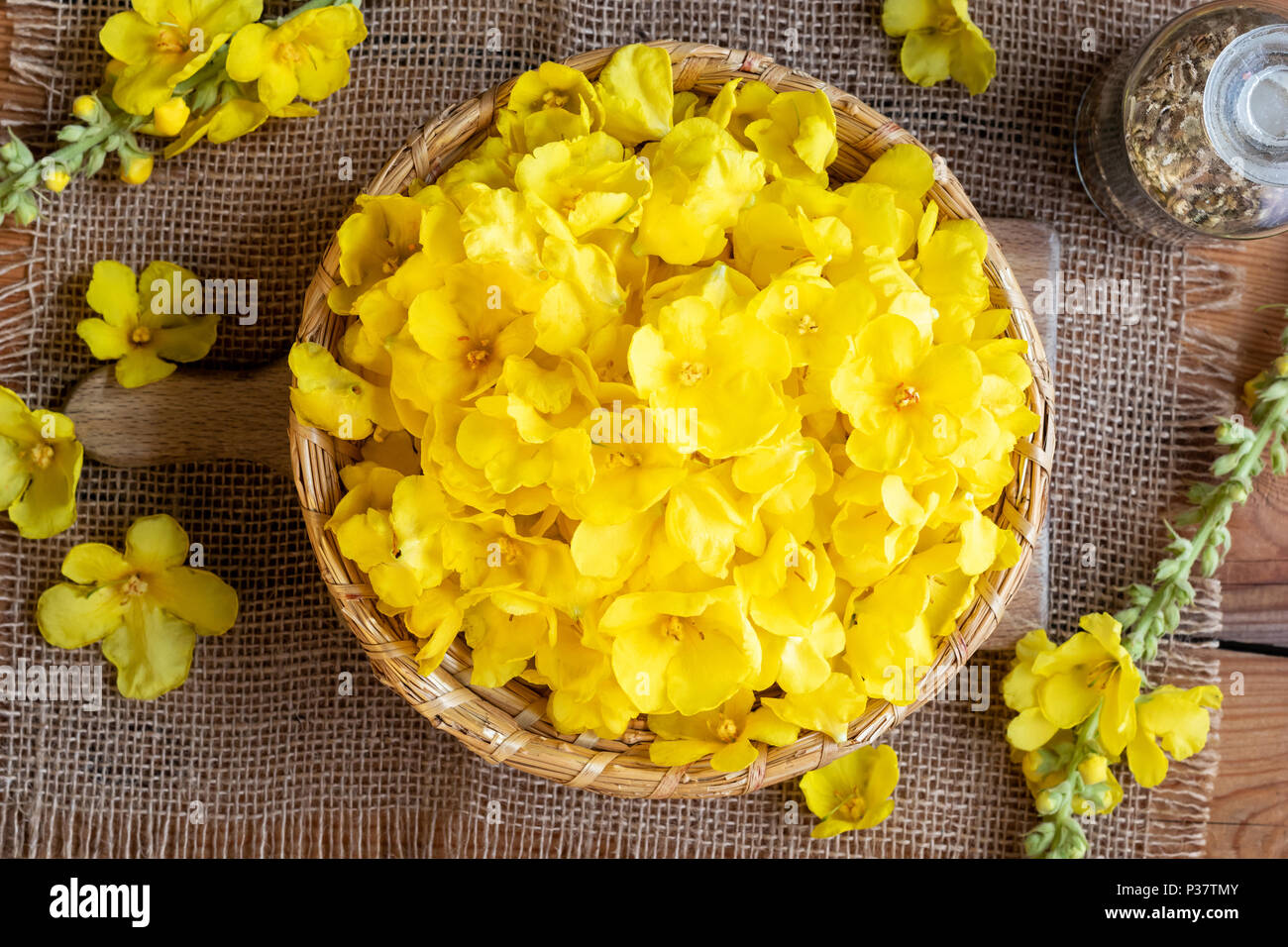 Fresh denseflower mullein flowers in a basket, top view Stock Photo - Alamy